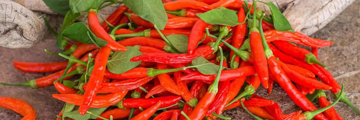 Piri-piri, recipes and origins of the little Portuguese pepper – Luisa ...